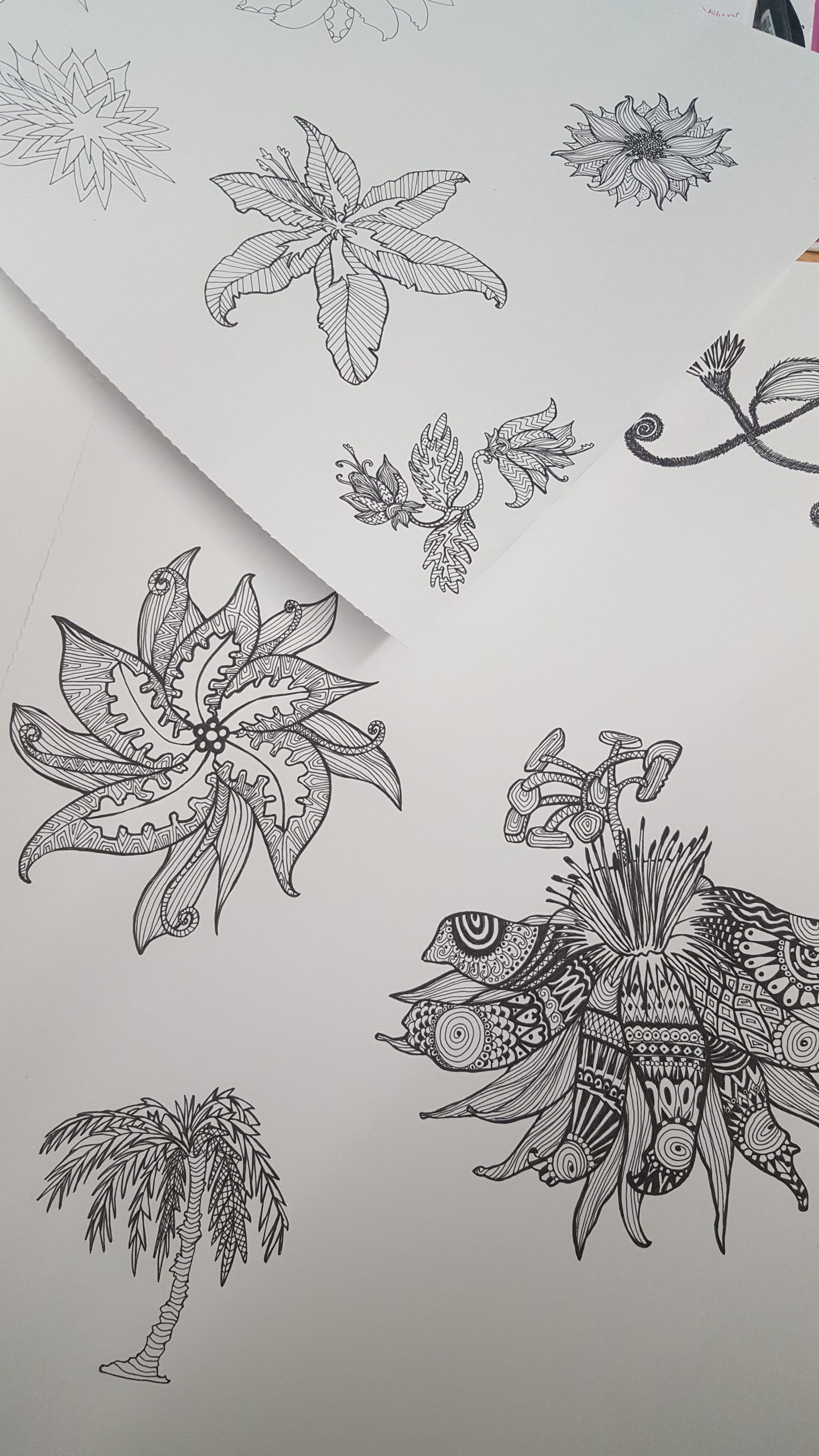 Print designs at iSea this summer... - iSea Surfwear